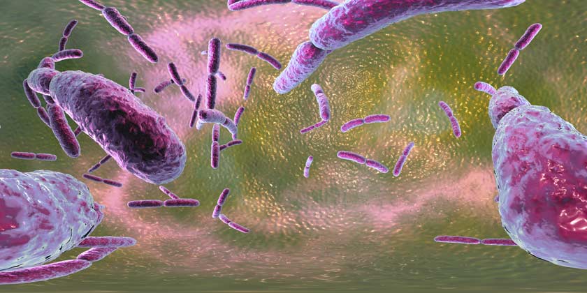 Antimicrobial Guidelines