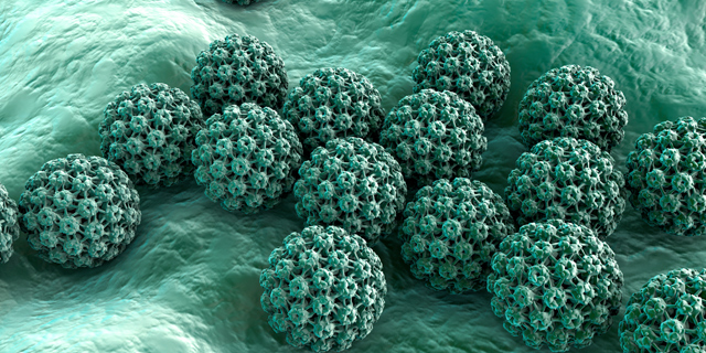 Understanding HPV
