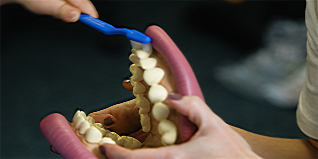 Denplan Kids’ Dental Survey